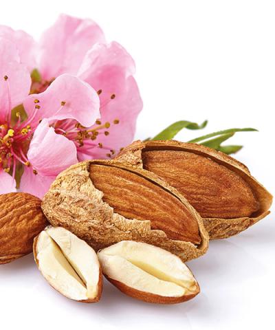 Mandel 'All In One' - Besonderes | STARKL - Der starke Gärtner | STARKL ...